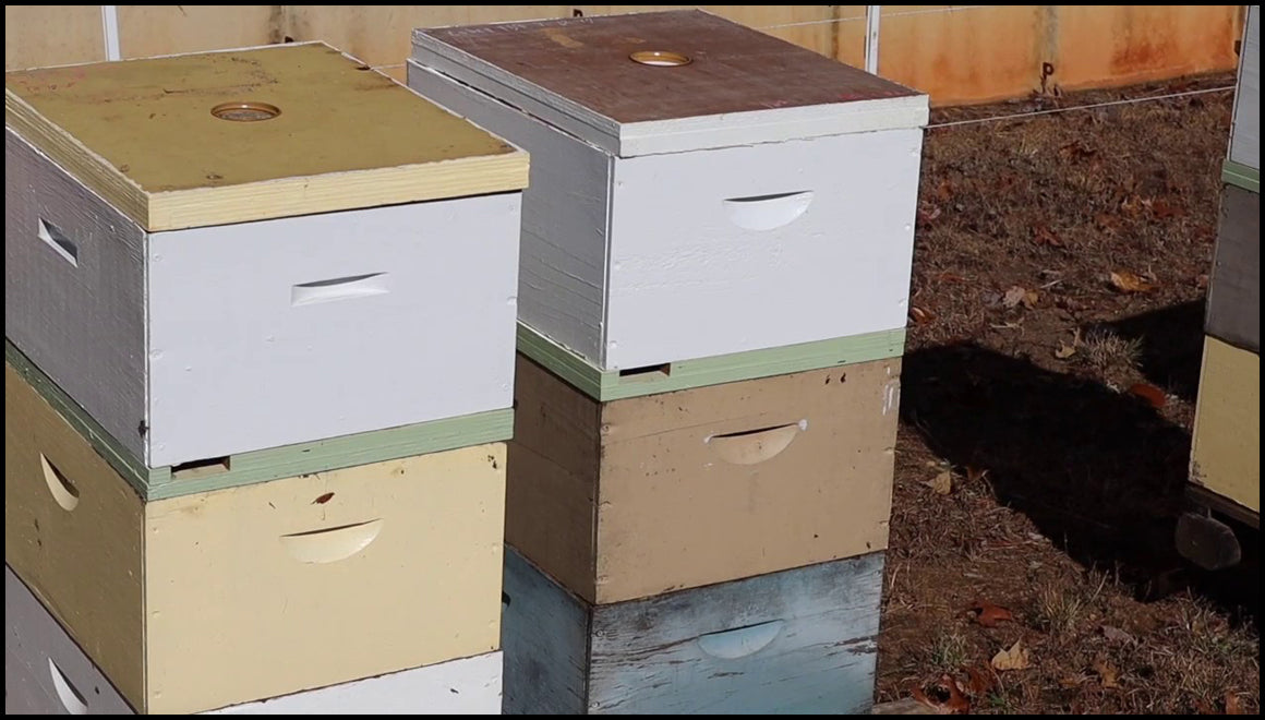 How To Make Double Screen Boards – Blue Ridge Honey Company