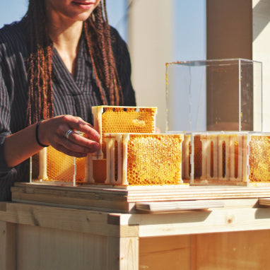 Hive Accessories