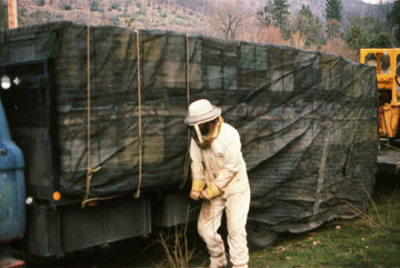 Beekeeping Since 1981